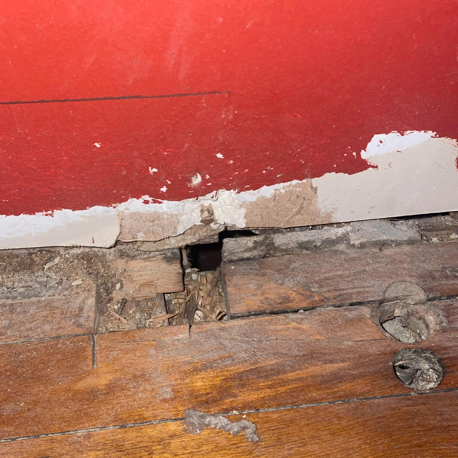 PestSafe Foam Sealant – Effective Rodent and Insect Barrier | Pest ...